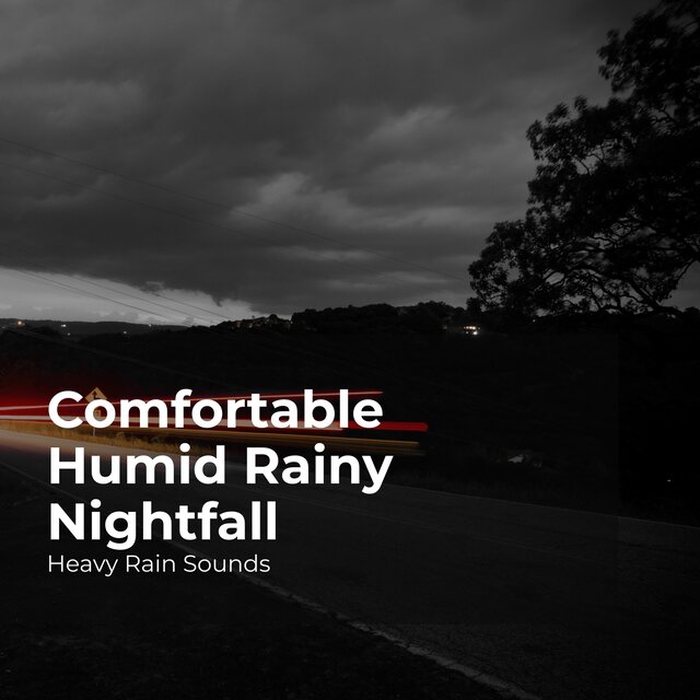 Comfortable Humid Rainy Nightfall by Heavy Rain Sounds, Rain Shower Spa ...
