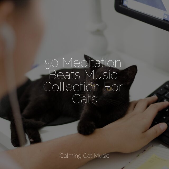 50 Meditation Beats Music Collection For Cats by Jazz Music for Cats on ...
