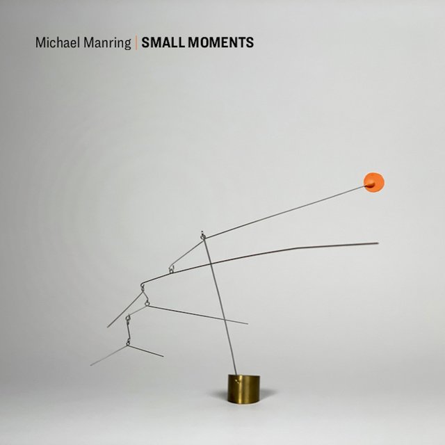 Small Moments by Michael Manring on TIDAL