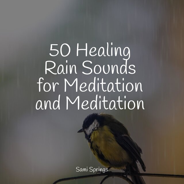 50 Healing Rain Sounds for Meditation and Meditation by Sea Waves ...