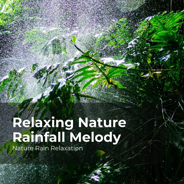 Relaxing Nature Rainfall Melody by Nature Rain Relaxation on TIDAL