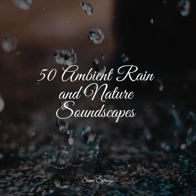 50 Ambient Rain and Nature Soundscapes by Nature Sounds on TIDAL