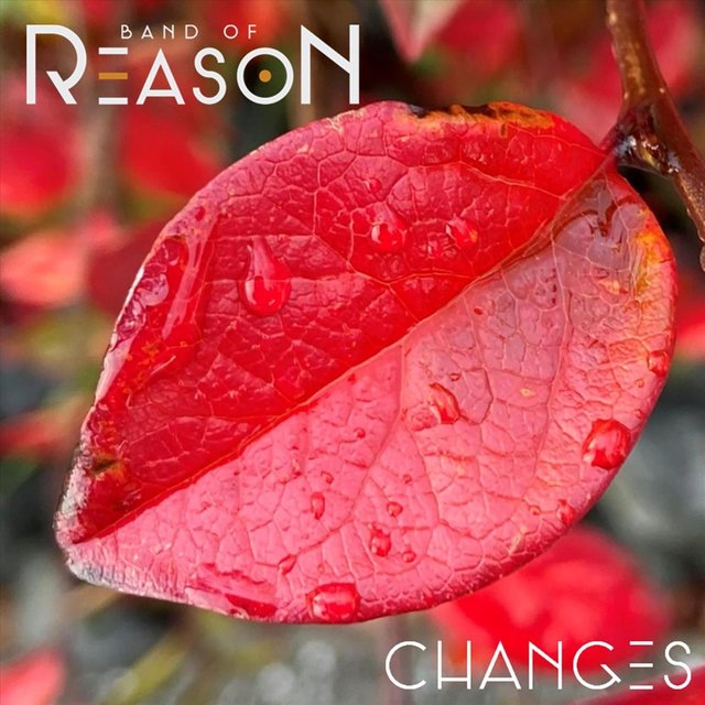 Changes by Band of Reason on TIDAL