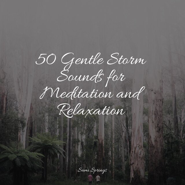 50 Gentle Storm Sounds for Meditation and Relaxation by Relaxing Nature ...