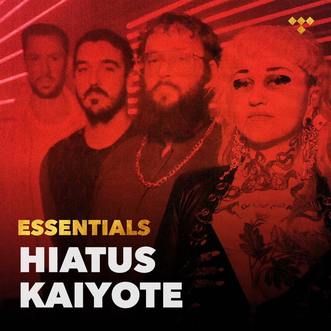 Hiatus Kaiyote Essentials