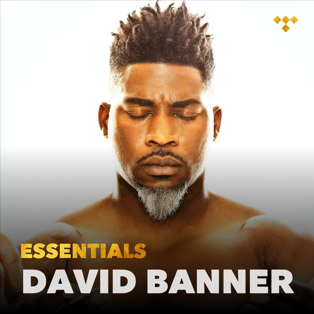 David Banner Essentials