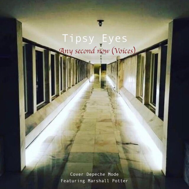 Any Second Now (Voices) (feat. Marshall Potter) by Tipsy Eyes on TIDAL