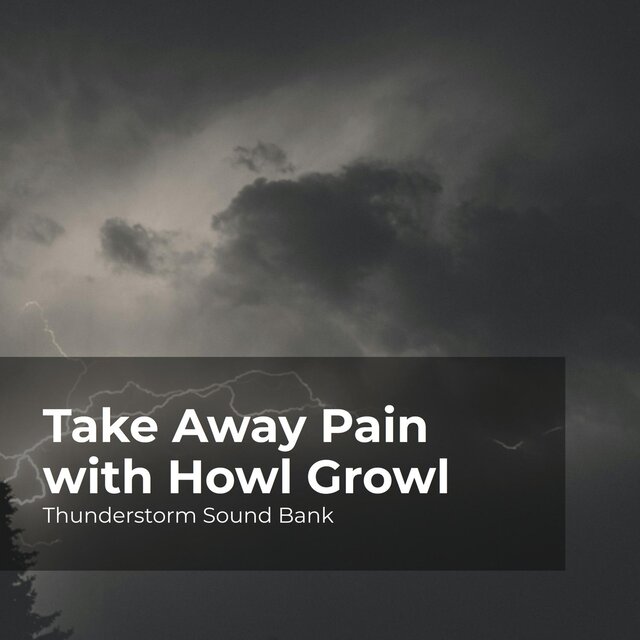 Take Away Pain with Howl Growl by Thunderstorm Sound Bank on TIDAL