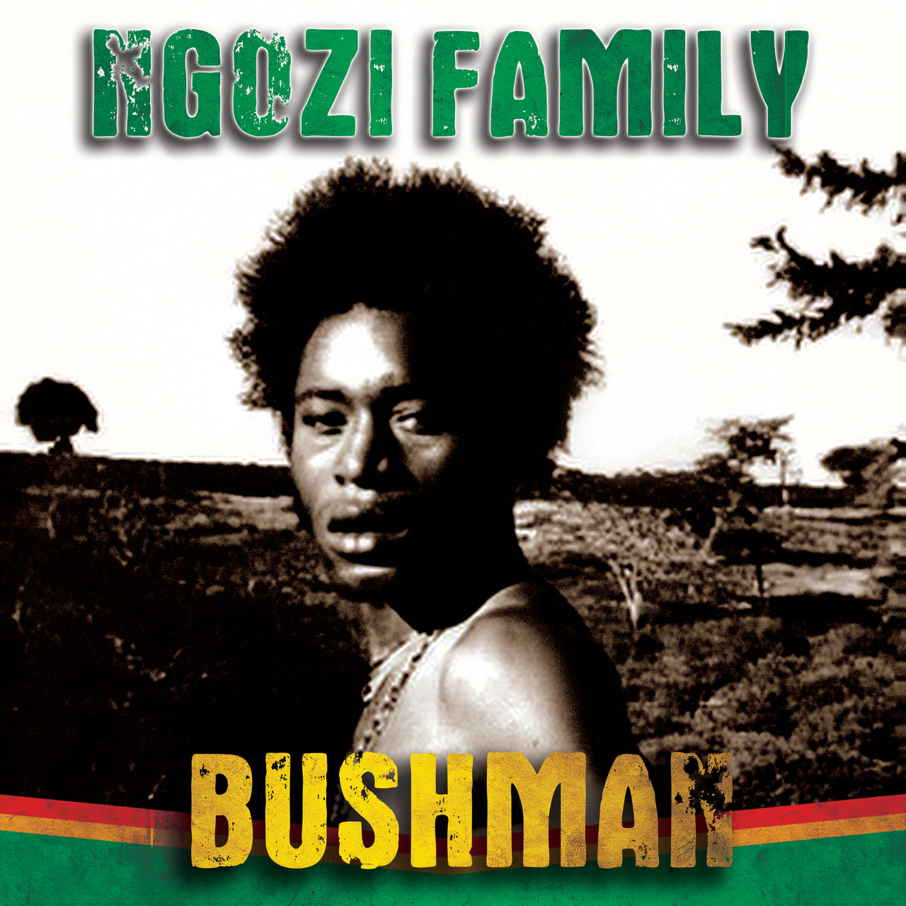 Ngozi Family on TIDAL