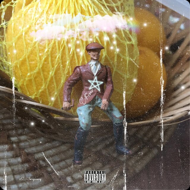 Fever Freestyle (Don't Let Me Go) by Swagoonog on TIDAL