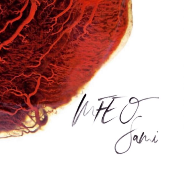 MFEO by sami on TIDAL