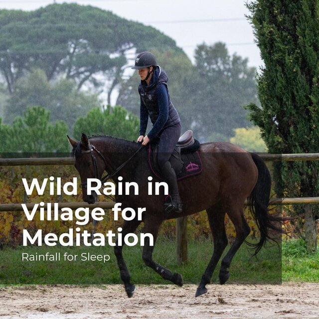 Wild Rain in Village for Meditation by Rainfall For Sleep on TIDAL