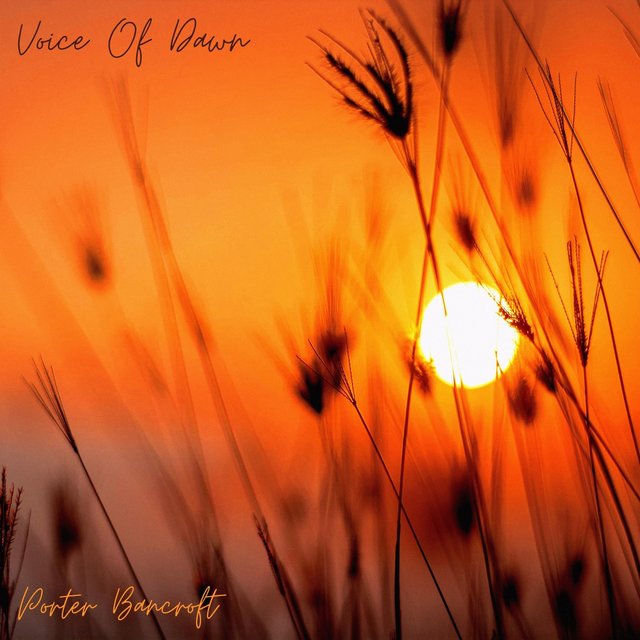 Voice of Dawn by Porter Bancroft on TIDAL