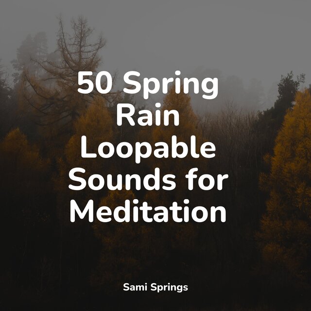 50 Spring Rain Loopable Sounds for Meditation by Soothing Sounds on TIDAL