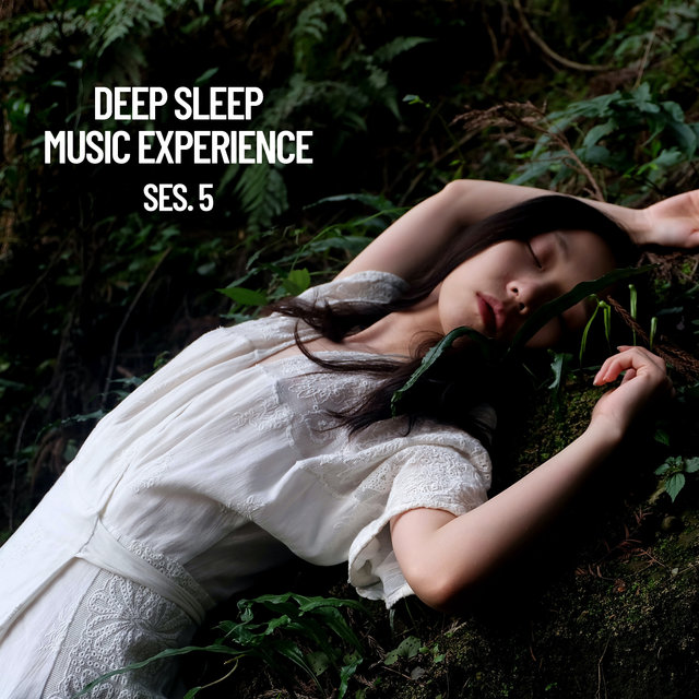 Relaxing Water Music by Deep Sleep Music Experience, Sleeping Music & Music for Sleep on TIDAL