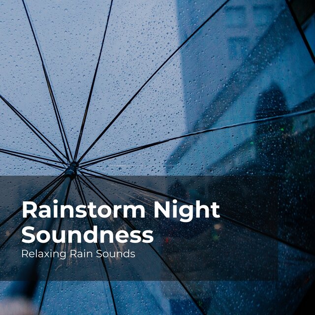 Rainstorm Night Soundness by Relaxing Rain Sounds on TIDAL
