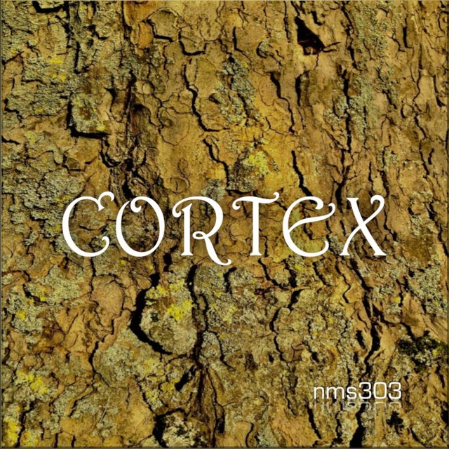 Cortex by nms303 on TIDAL
