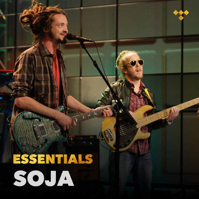 Soja Stars And Stripes