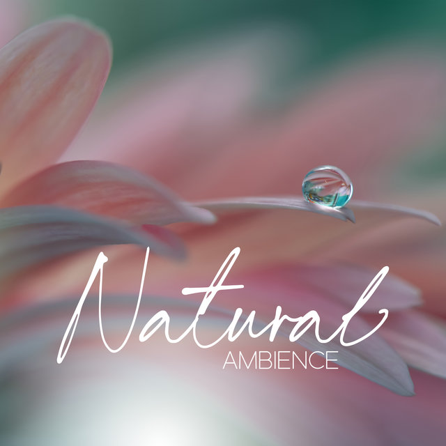 Natural Ambience: Only Nature without Music by Calm Music Masters ...