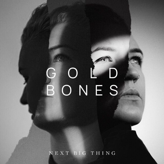 Next Big Thing by Gold Bones on TIDAL