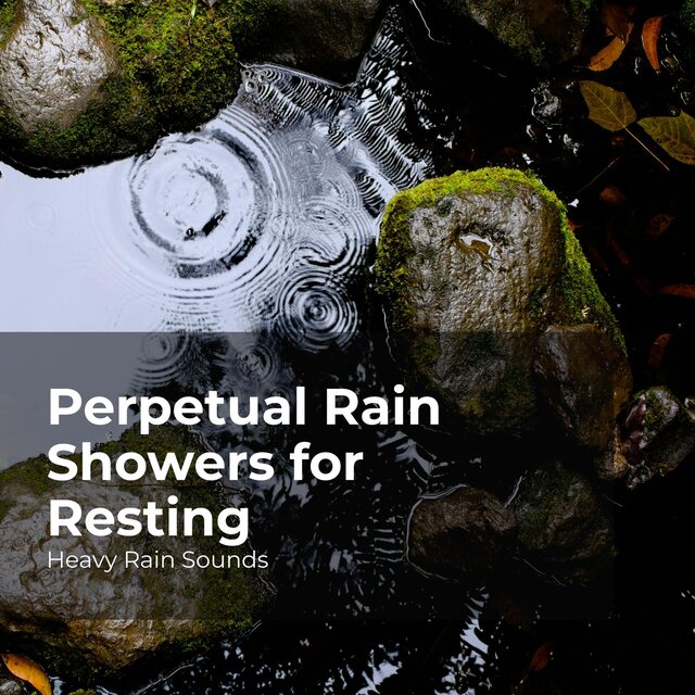 Perpetual Rain Showers for Resting by Heavy Rain Sounds on TIDAL