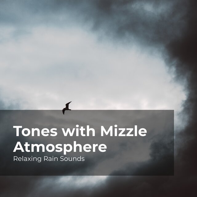 Tones with Mizzle Atmosphere by Relaxing Rain Sounds on TIDAL
