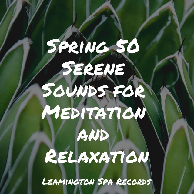 Spring 50 Serene Sounds for Meditation and Relaxation by Binaural Beats ...