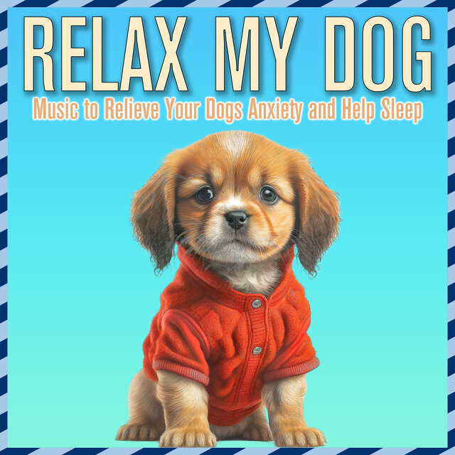 Does Music Help Puppies Sleep