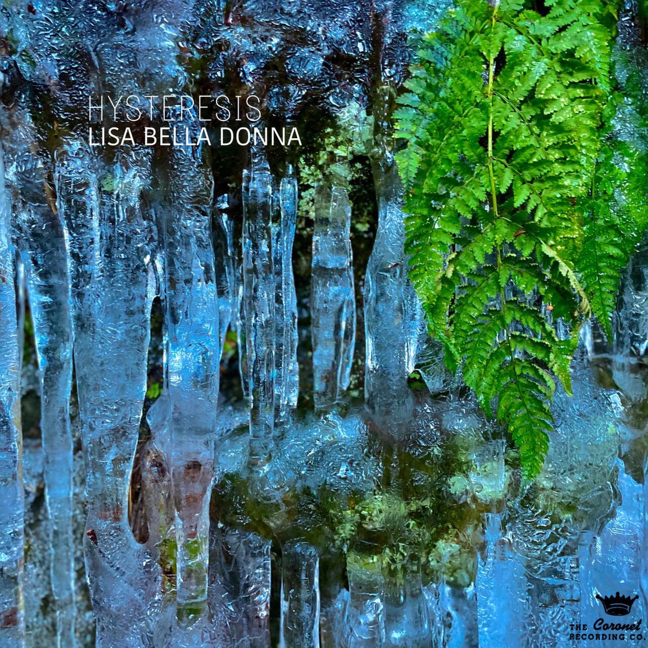 Lisa Bella Donna on TIDAL