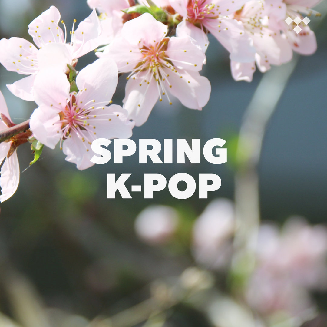 Spring K-Pop on TIDAL