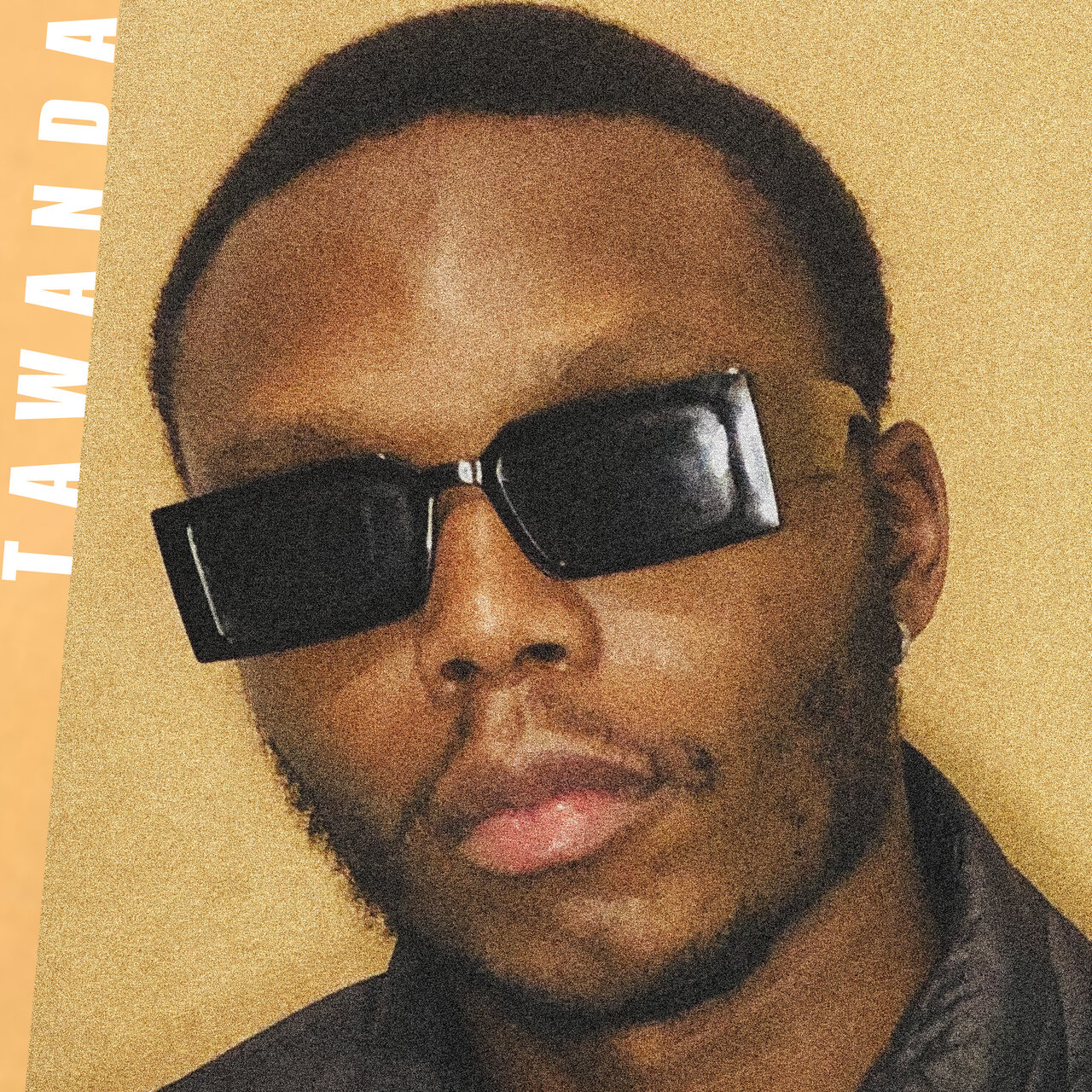 Tawanda on TIDAL