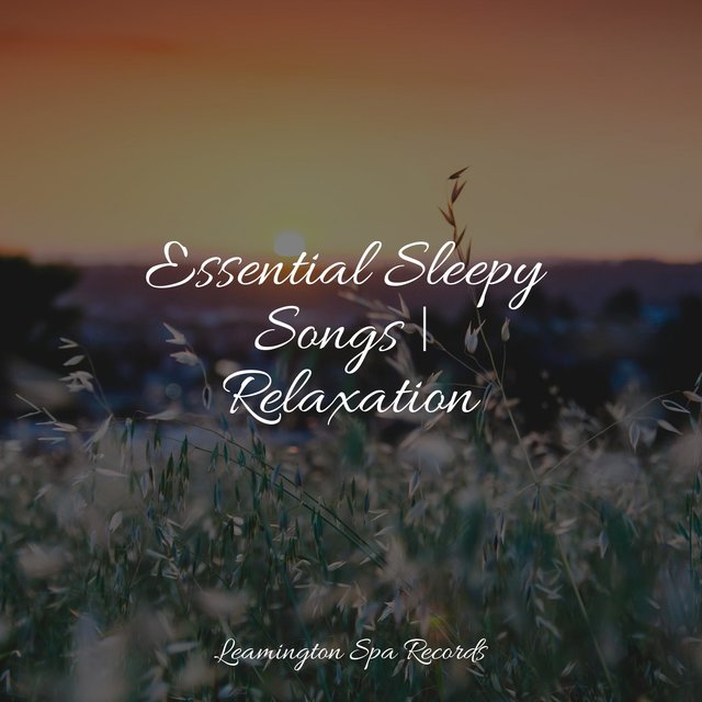 Essential Sleepy Songs | Relaxation by The Relaxing Sounds of Swedish ...