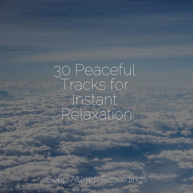 30 Peaceful Tracks for Instant Relaxation by Powerthoughts Meditation ...