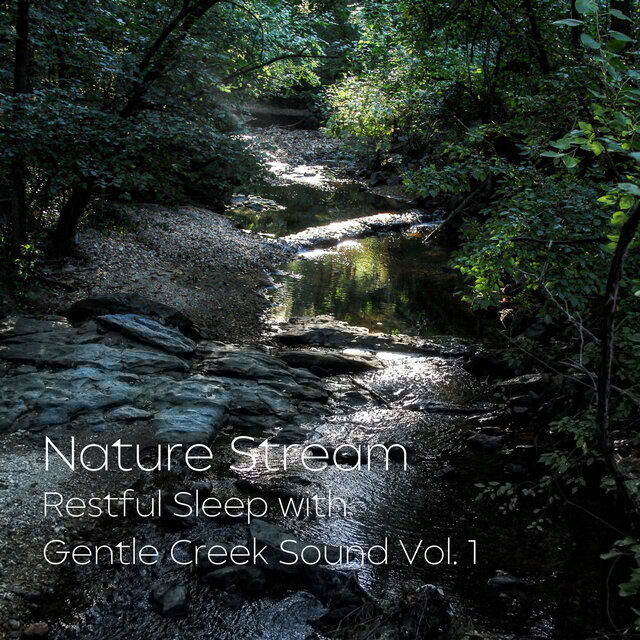 Nature Stream: Restful Sleep with Gentle Creek Sound Vol. 1 by Nature ...