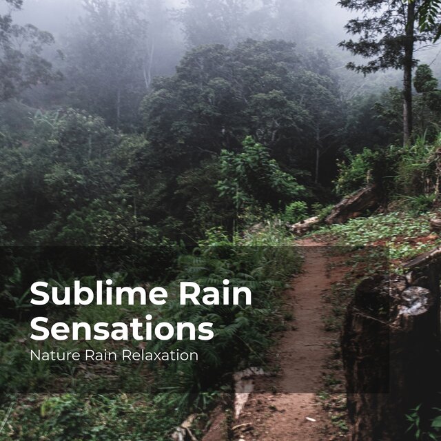 Forest Monsoon Rain by Nature Rain Relaxation on TIDAL