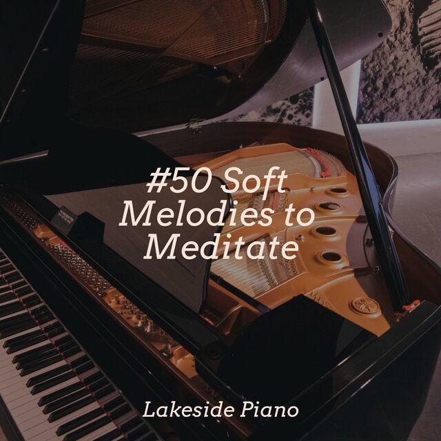 #50 Soft Melodies to Meditate by Instrumental on TIDAL