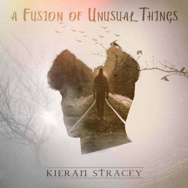 A Fusion of Unusual Things by Kieran Stracey on TIDAL