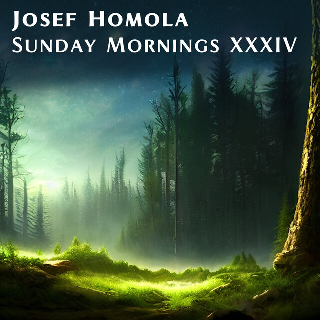 Sunday Mornings XXXIV by Josef Homola on TIDAL
