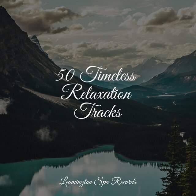 50 Timeless Relaxation Tracks by Sounds of Nature White Noise Sound ...