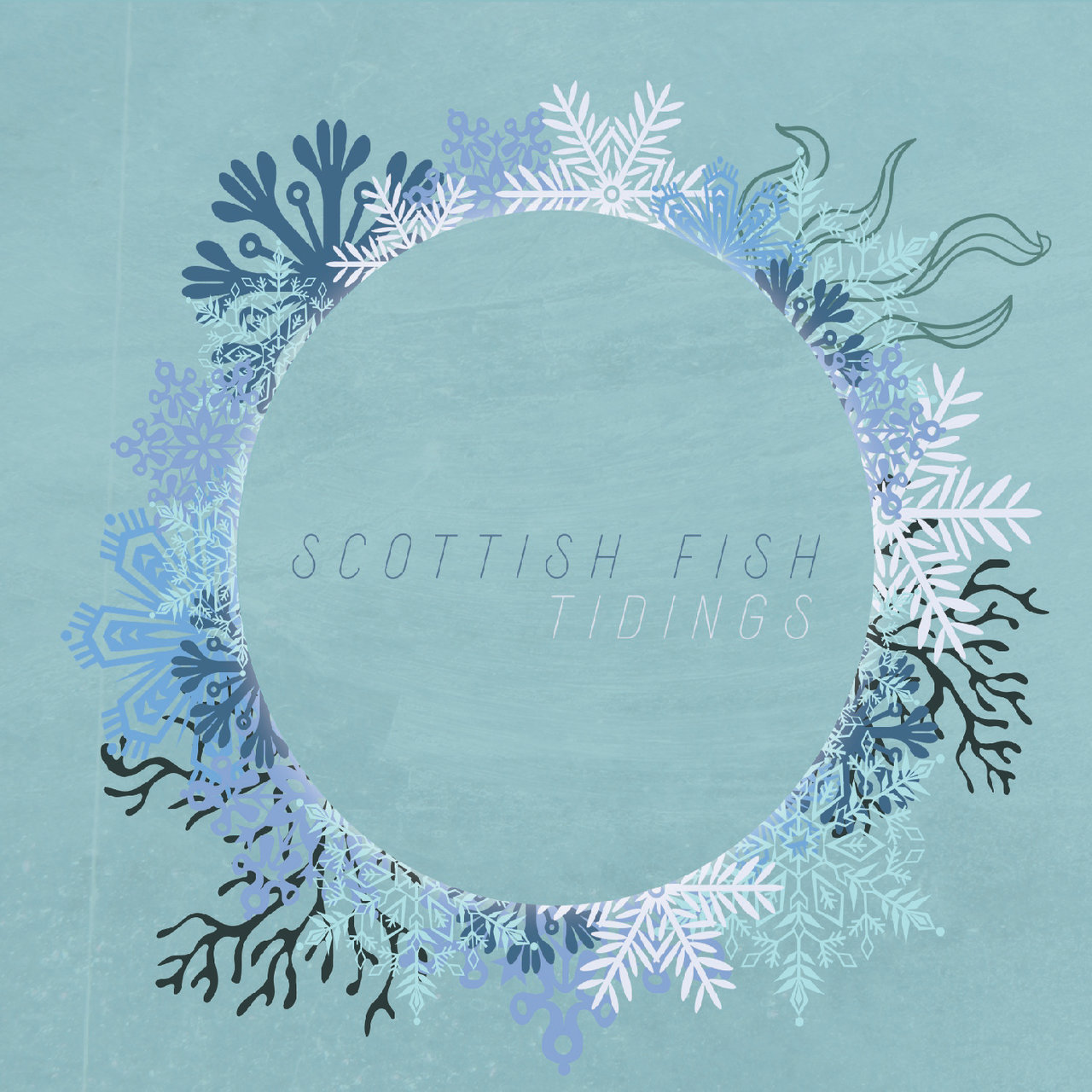 Scottish Fish on TIDAL