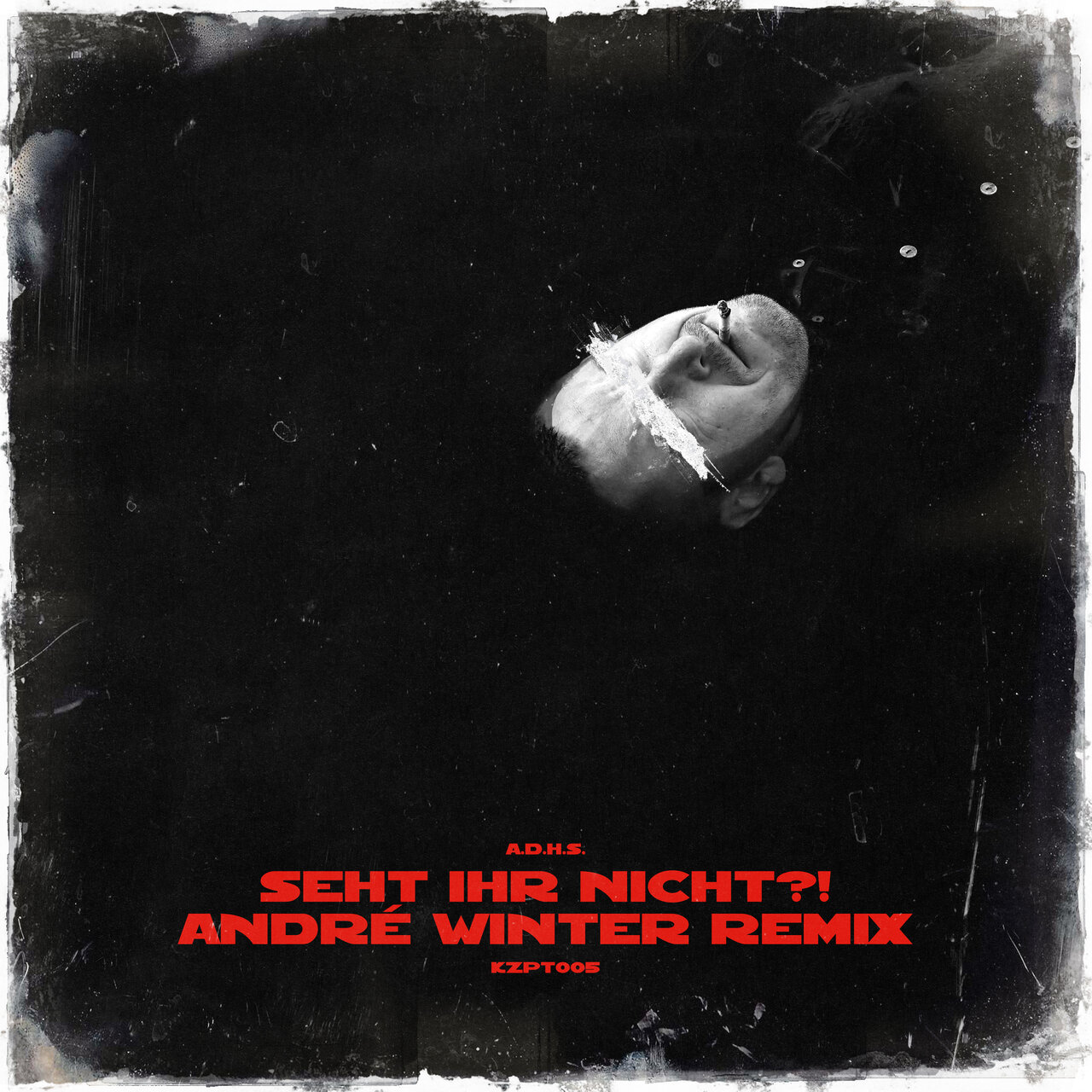 André Winter on TIDAL