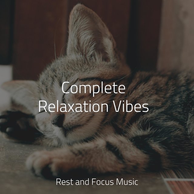Complete Relaxation Vibes by Alpha Brain Waves on TIDAL