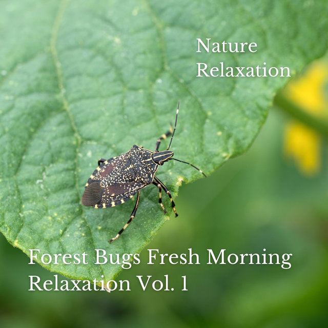 Nature Relaxation: Forest Bugs Fresh Morning Relaxation Vol. 1 by Relax ...