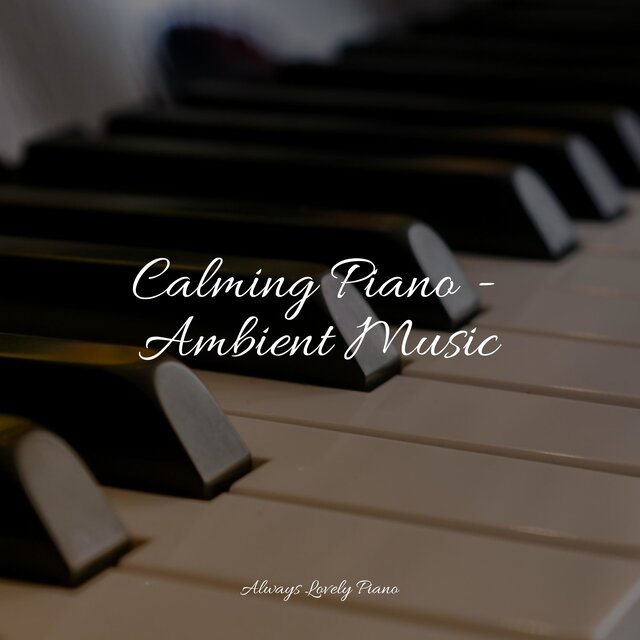 Calming Piano - Ambient Music by Peaceful piano on TIDAL