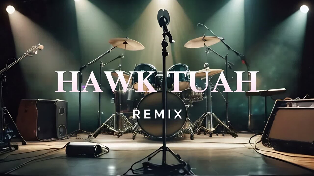 Hawk Tuah (Breakbeat Drum & Bass) (Lyric Video) by Vik4s on TIDAL