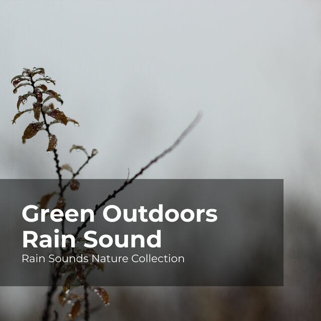 Green Outdoors Rain Sound by Rain Sounds Nature Collection on TIDAL
