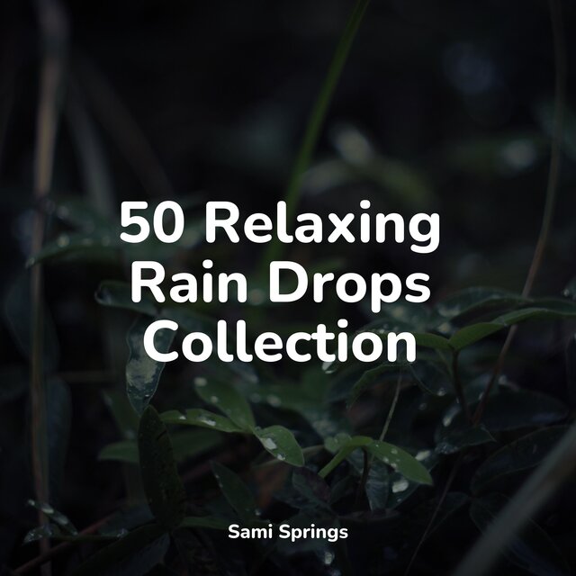 50 Relaxing Rain Drops Collection by Saludo al Sol Sonido Relajante ...