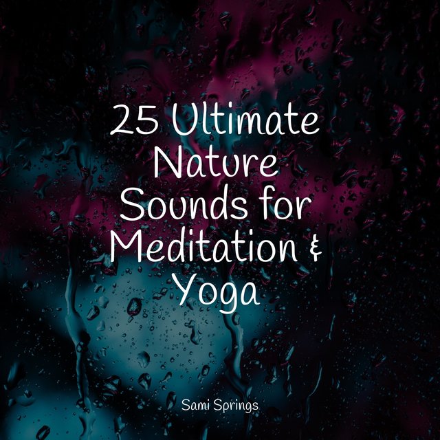 25 Ultimate Nature Sounds for Meditation & Yoga by Relaxing Nature ...