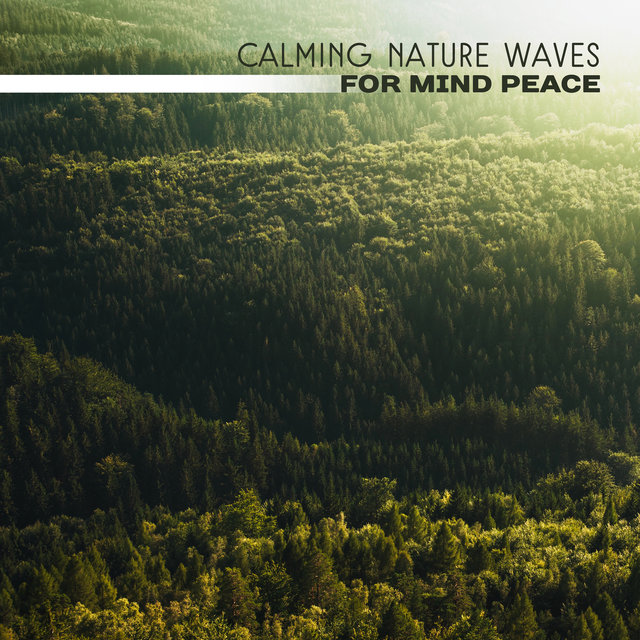 Calming Nature Waves for Mind Peace – Easy Listening, Peaceful Music ...