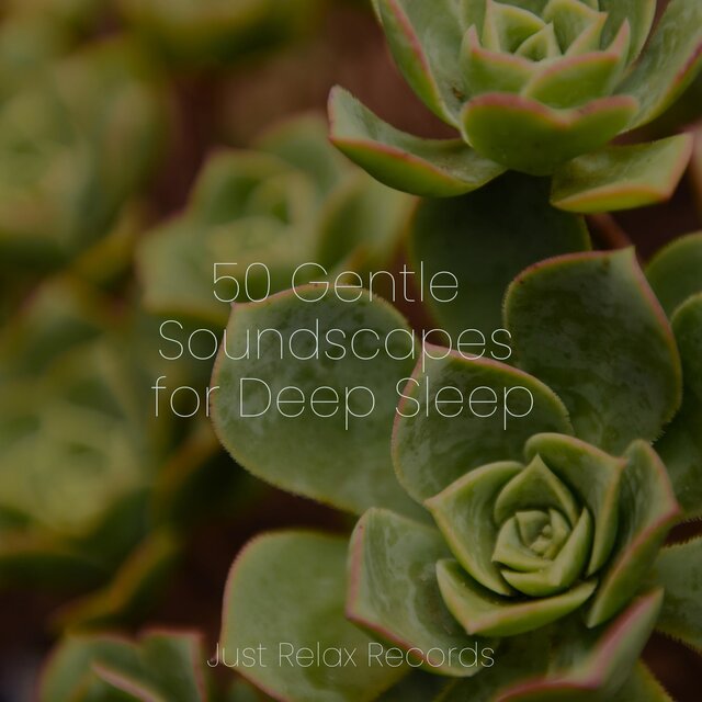 50 Gentle Soundscapes for Deep Sleep by Lucid Dreaming World-Collective ...